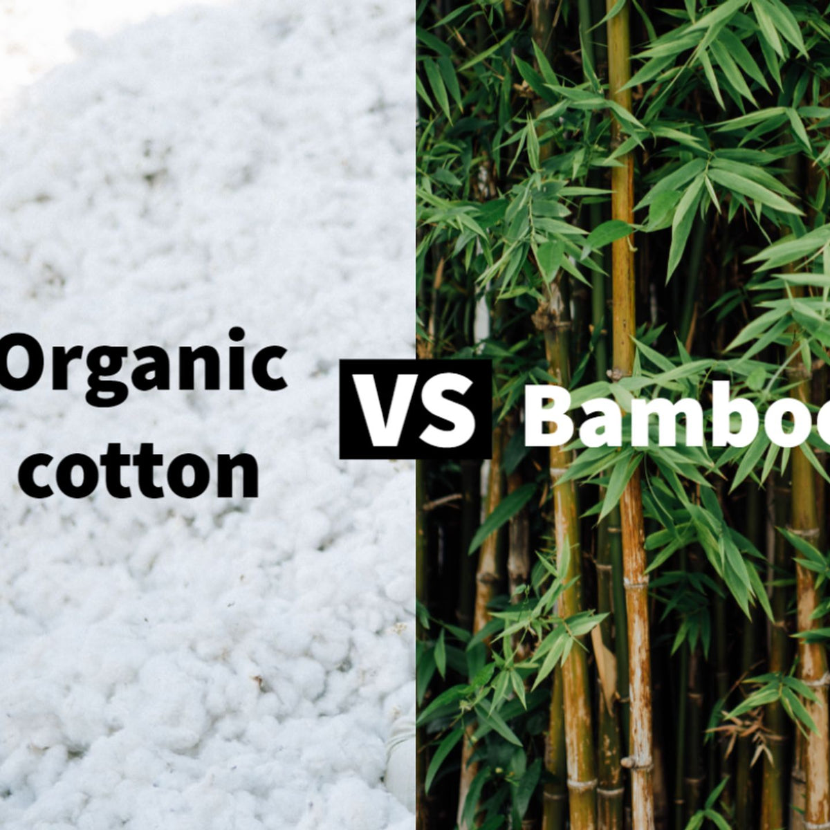 Bamboo vs. Cotton: Which is the Best Fabric for Activewear? – Bamtech